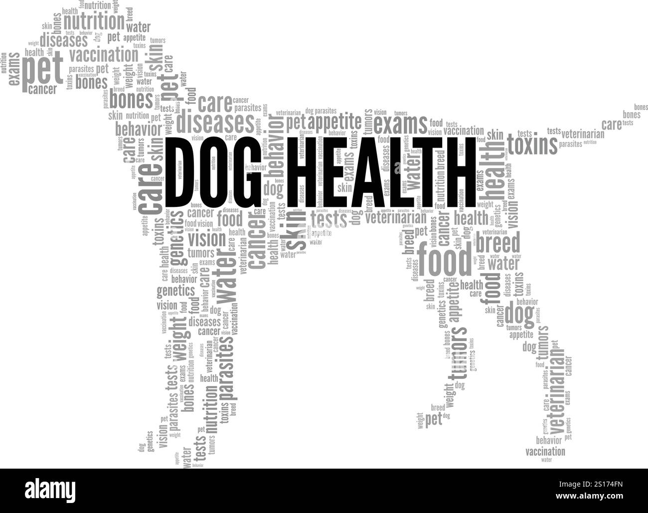 Dog Health word cloud conceptual design isolated on white background ...