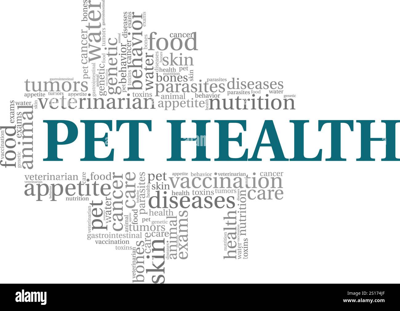 Pet Health word cloud conceptual design isolated on white background ...