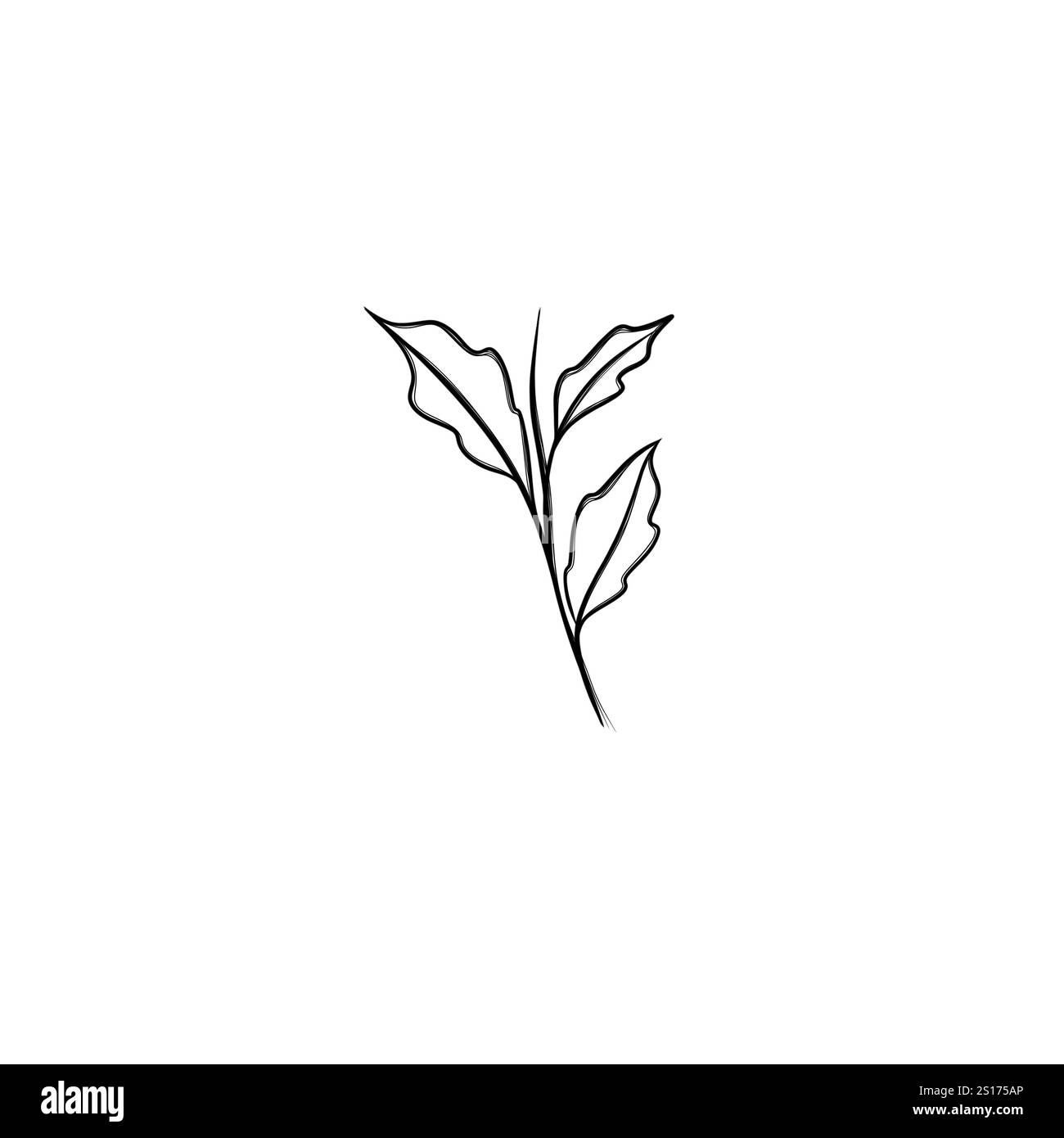 Minimalistic line drawing. leaf line art. Botanical drawing ...