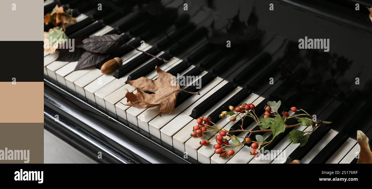 Autumn leaves and berries on grand piano keys, closeup. Different color ...