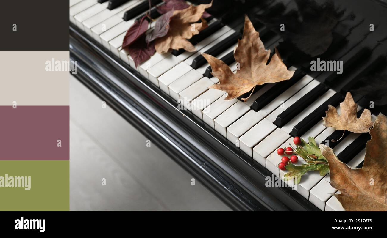 Autumn leaves on grand piano keys, closeup. Different color patterns ...