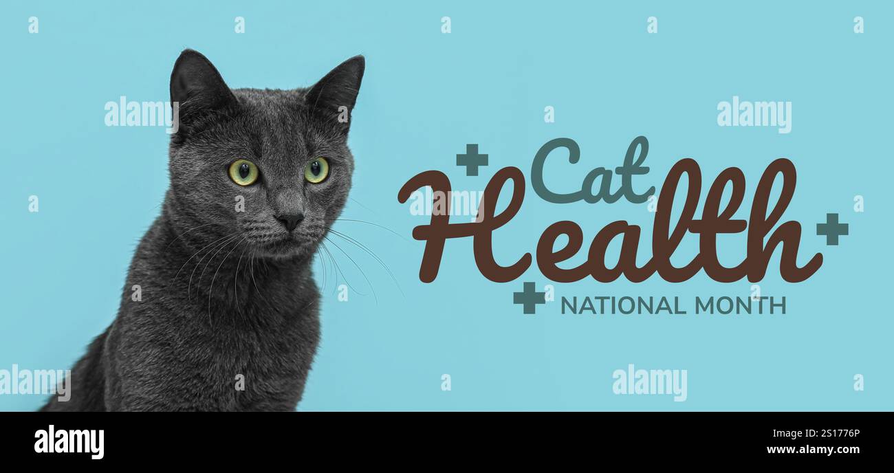 Cute grey cat on light blue background. Banner for National Cat Health ...