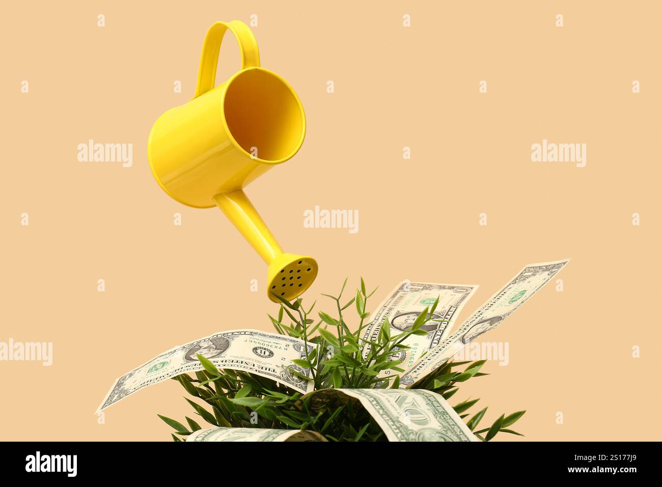 Flying watering can and plant with dollar banknotes on color background ...
