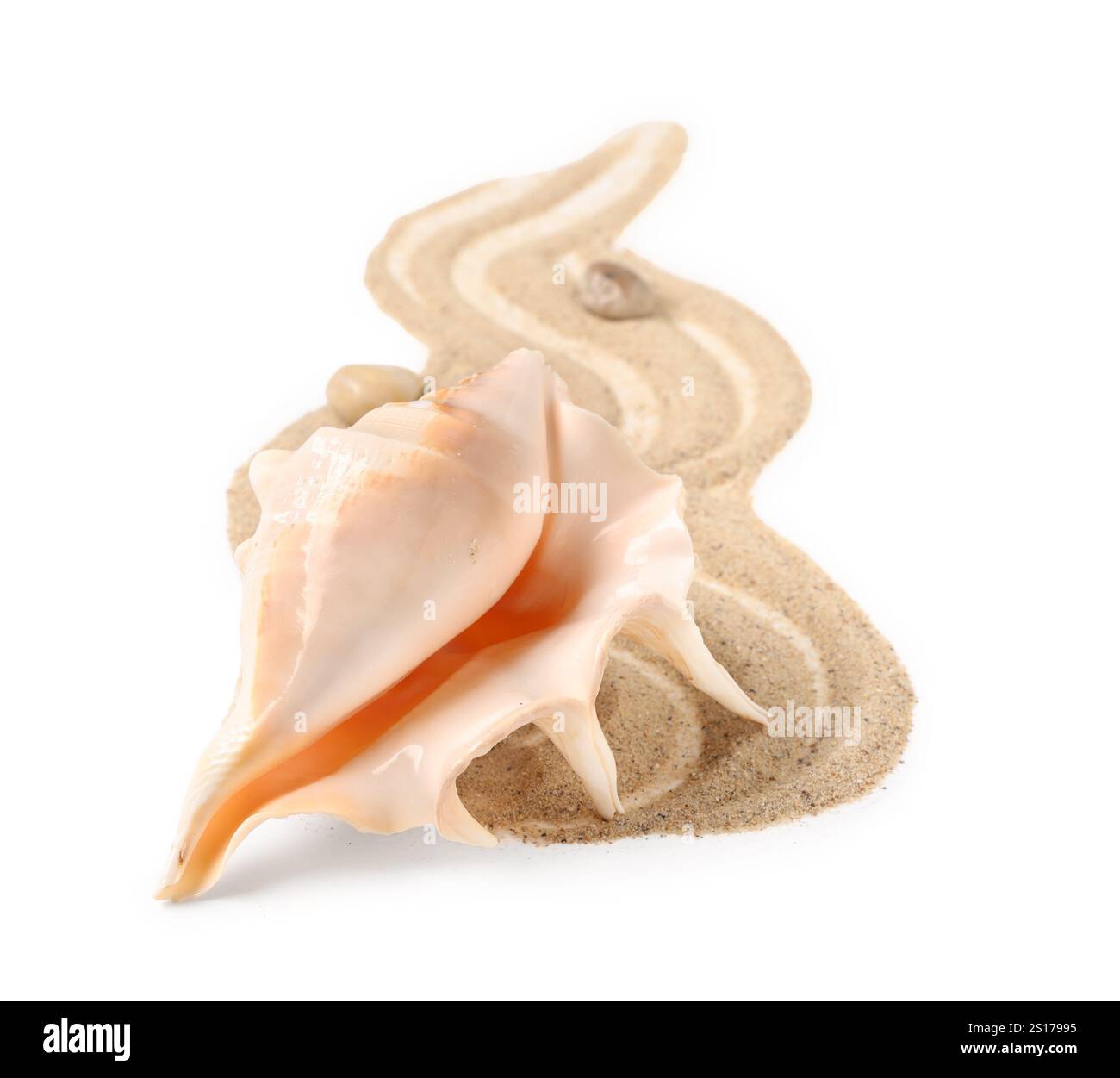 Composition with beautiful seashell, pebbles and sand on white ...