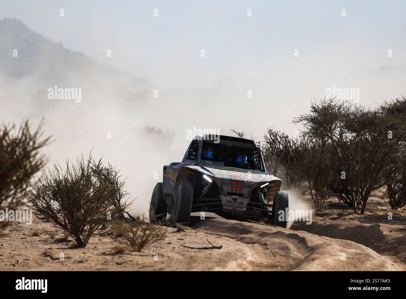 308 ZILLE David (arg), CESANA Sebastian (arg), Taurus, Daklapack ...