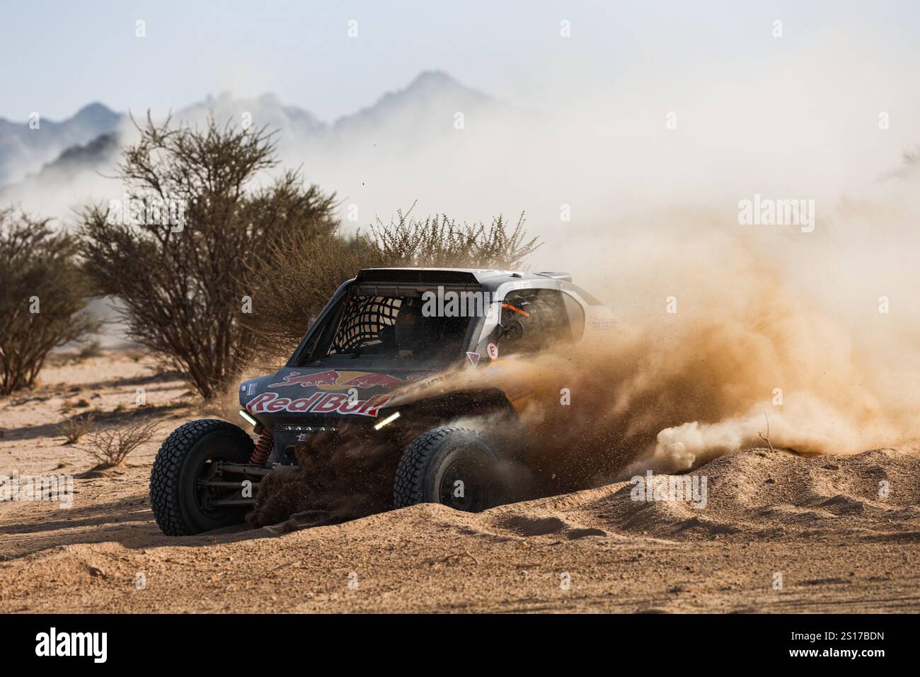319 GUERREIRO Gonzalo (prt), SACHS Cadu (bra), Taurus, Red Bull Off ...