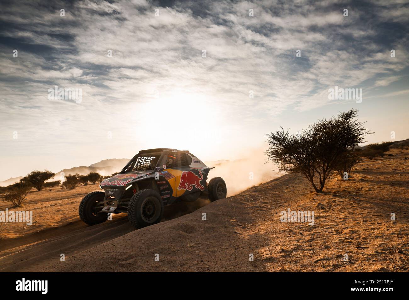 319 GUERREIRO Gonzalo (prt), SACHS Cadu (bra), Taurus, Red Bull Off ...