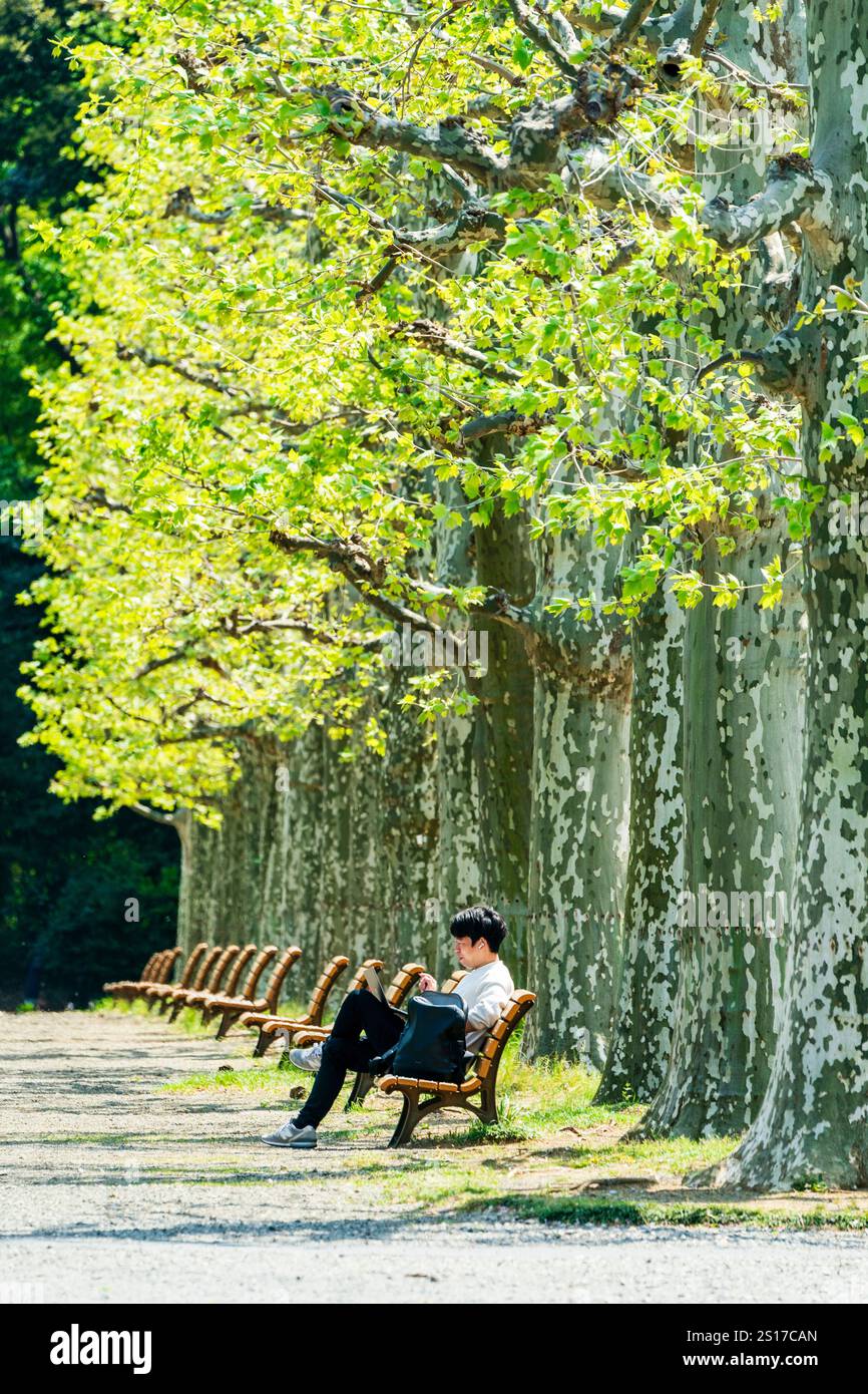 Japanese man sitting using a lap top on the first of a row of benches ...