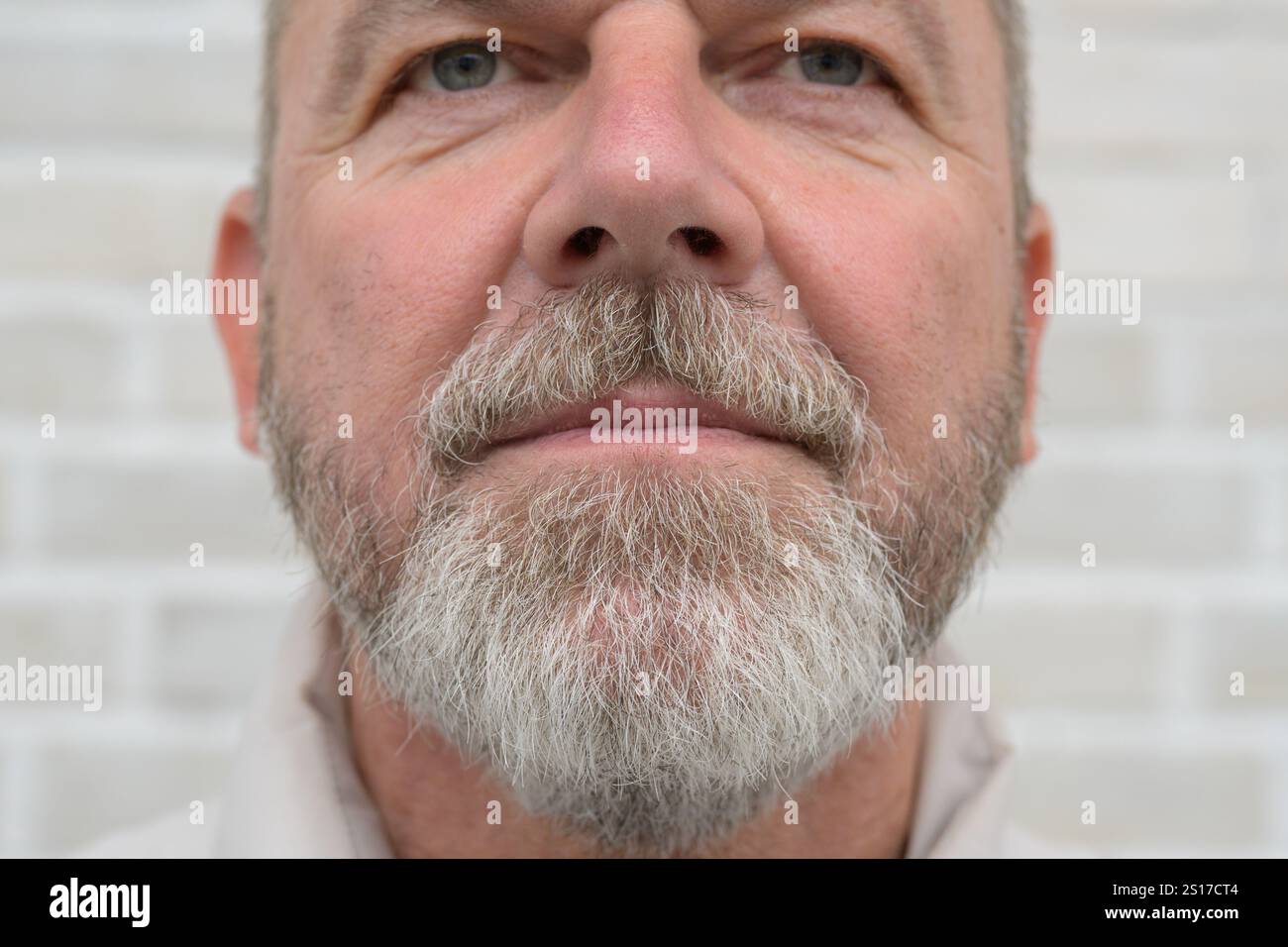 A detailed close-up of a mature man's face, focusing on his grey beard ...