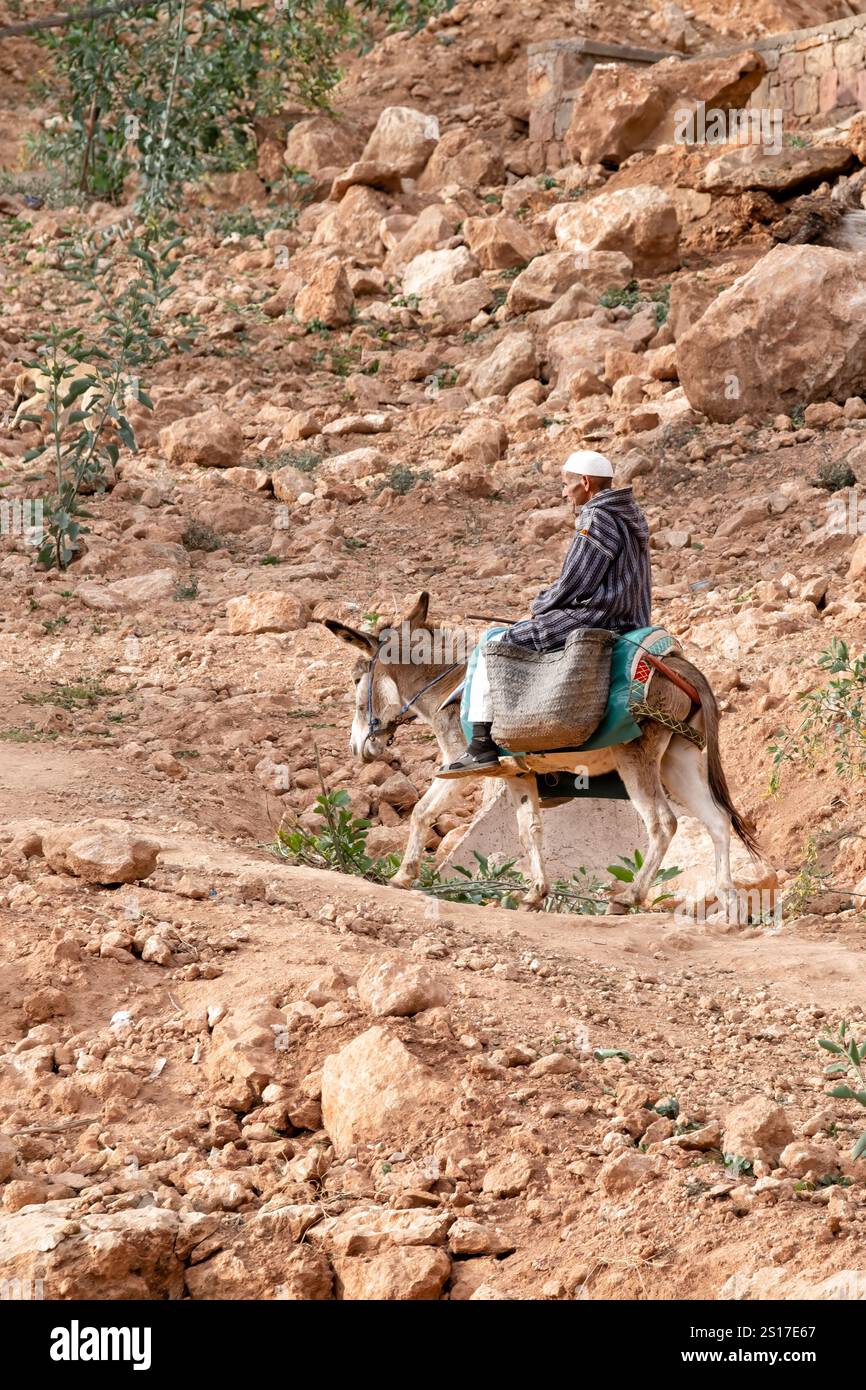 Middle Atlas Mountains, Morocco. A man riding a donkey or mule up a ...