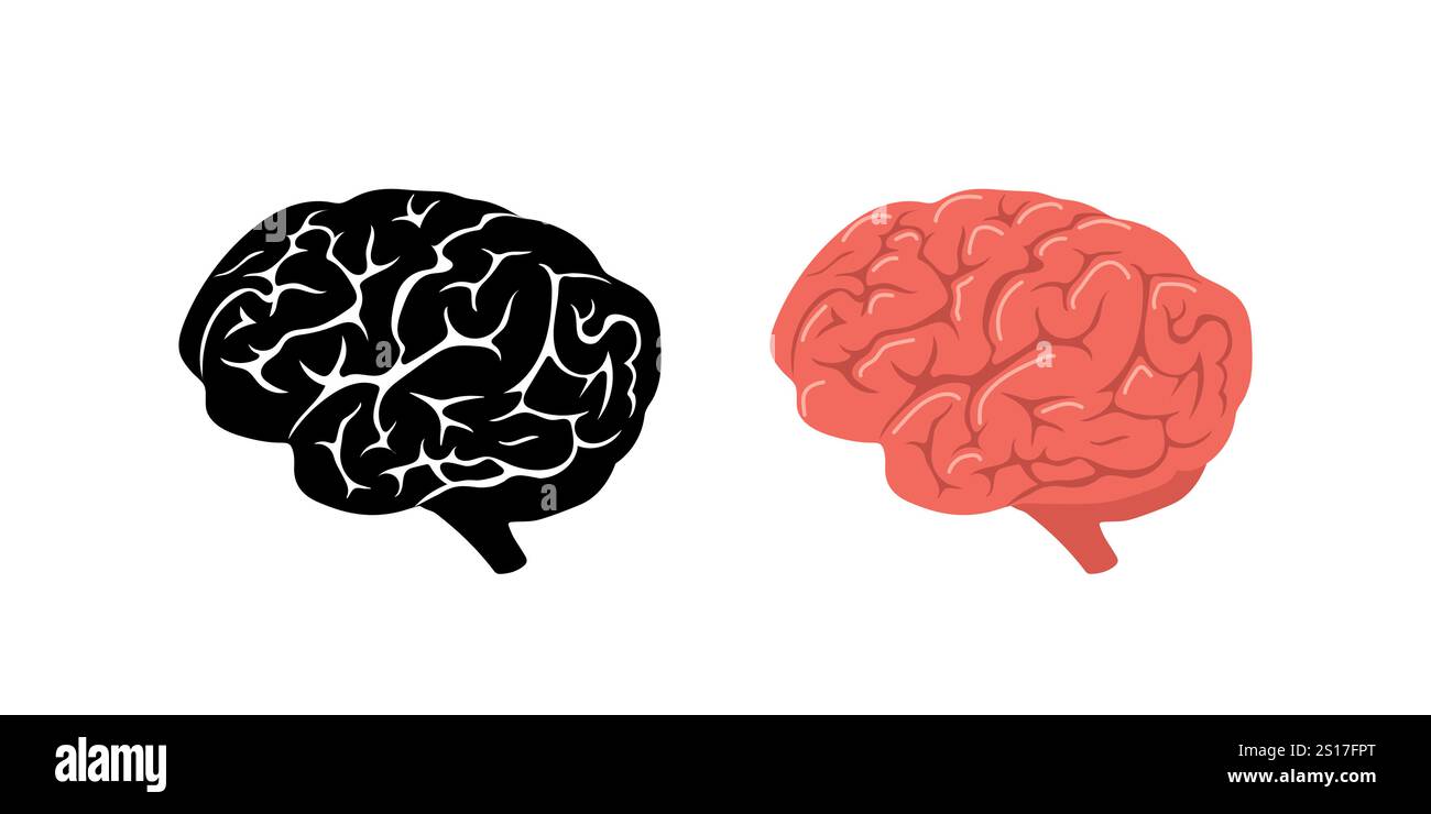 Brain icon set. Human internal organ solid and colored. Side view ...