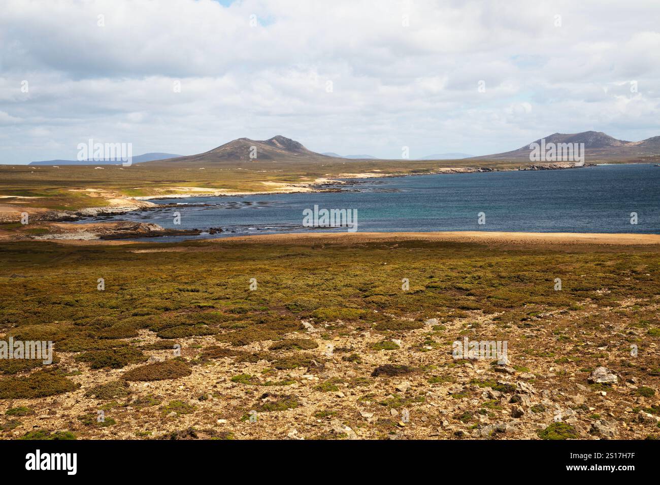 Landscape views of Pebble Island, The Falkland Islands Stock Photo - Alamy