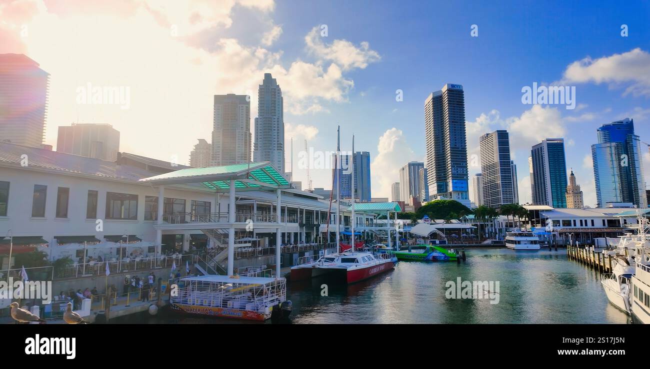 Downtown Miami Skyline view from Bayfront Park - MIAMI, UNITED STATES ...