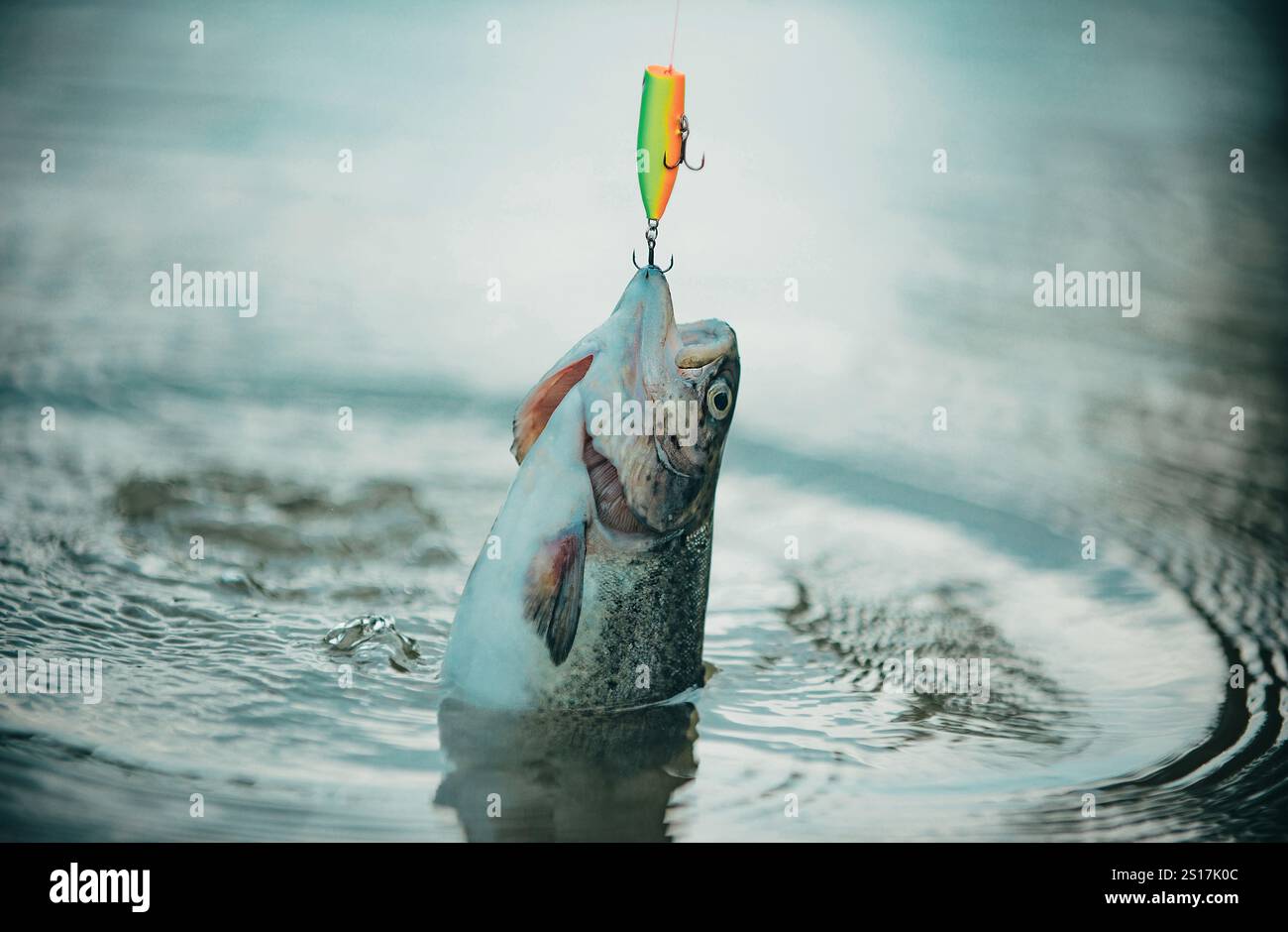 Fishing became a popular recreational activity. Fishing in river ...