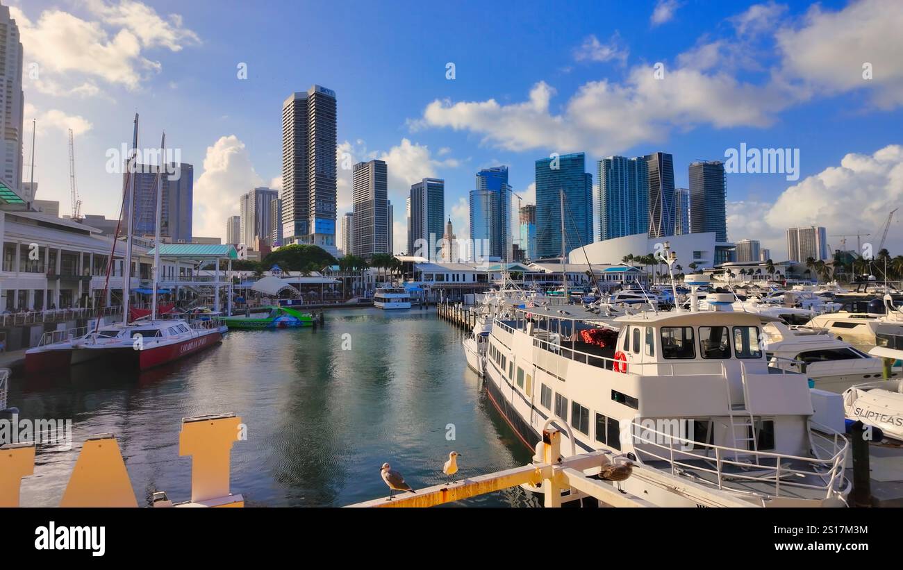 Downtown Miami Skyline view from Bayfront Park - MIAMI, UNITED STATES ...