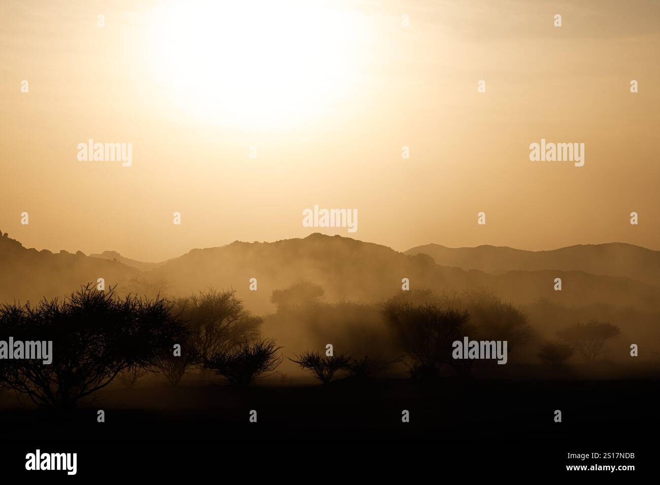 landscape, paysage during the Private Test of the Dakar 2025 from ...