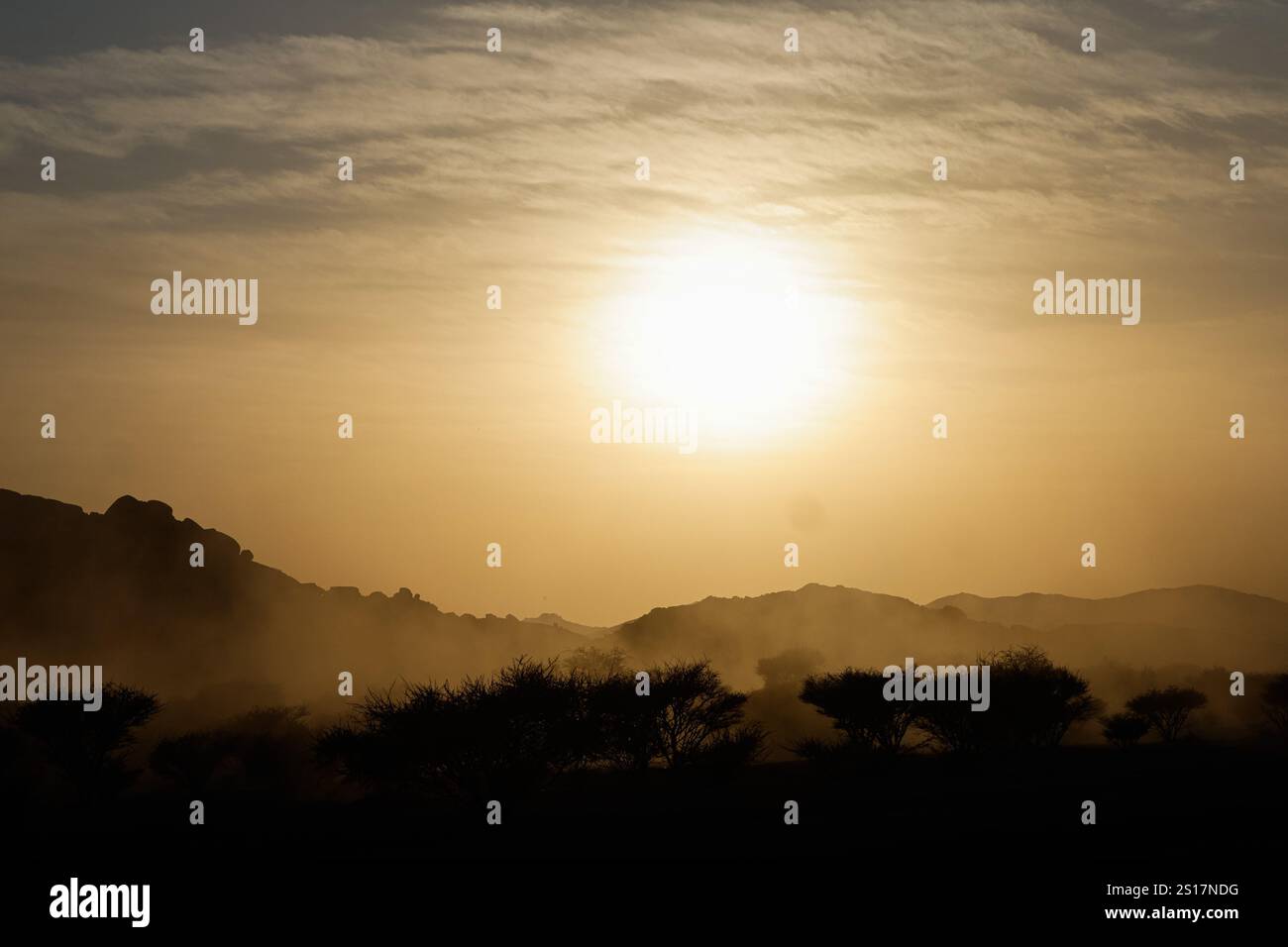 landscape, paysage during the Private Test of the Dakar 2025 from ...