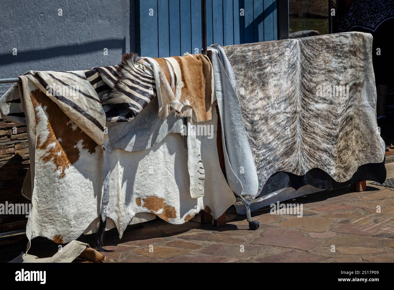 Collection of african animal hides including zebra and antelope on sale ...