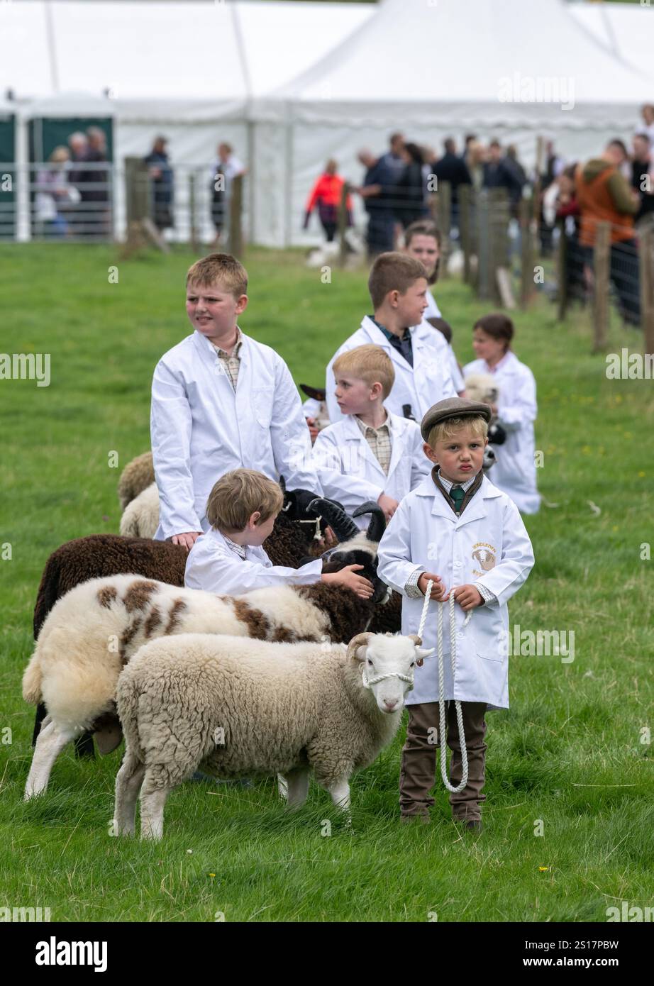 Children showing their sheep in the Young Handlers section at Hope Show ...