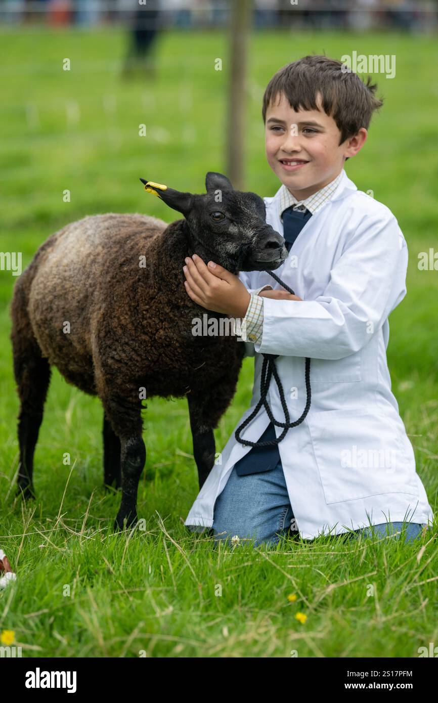 Children showing their sheep in the Young Handlers section at Hope Show ...