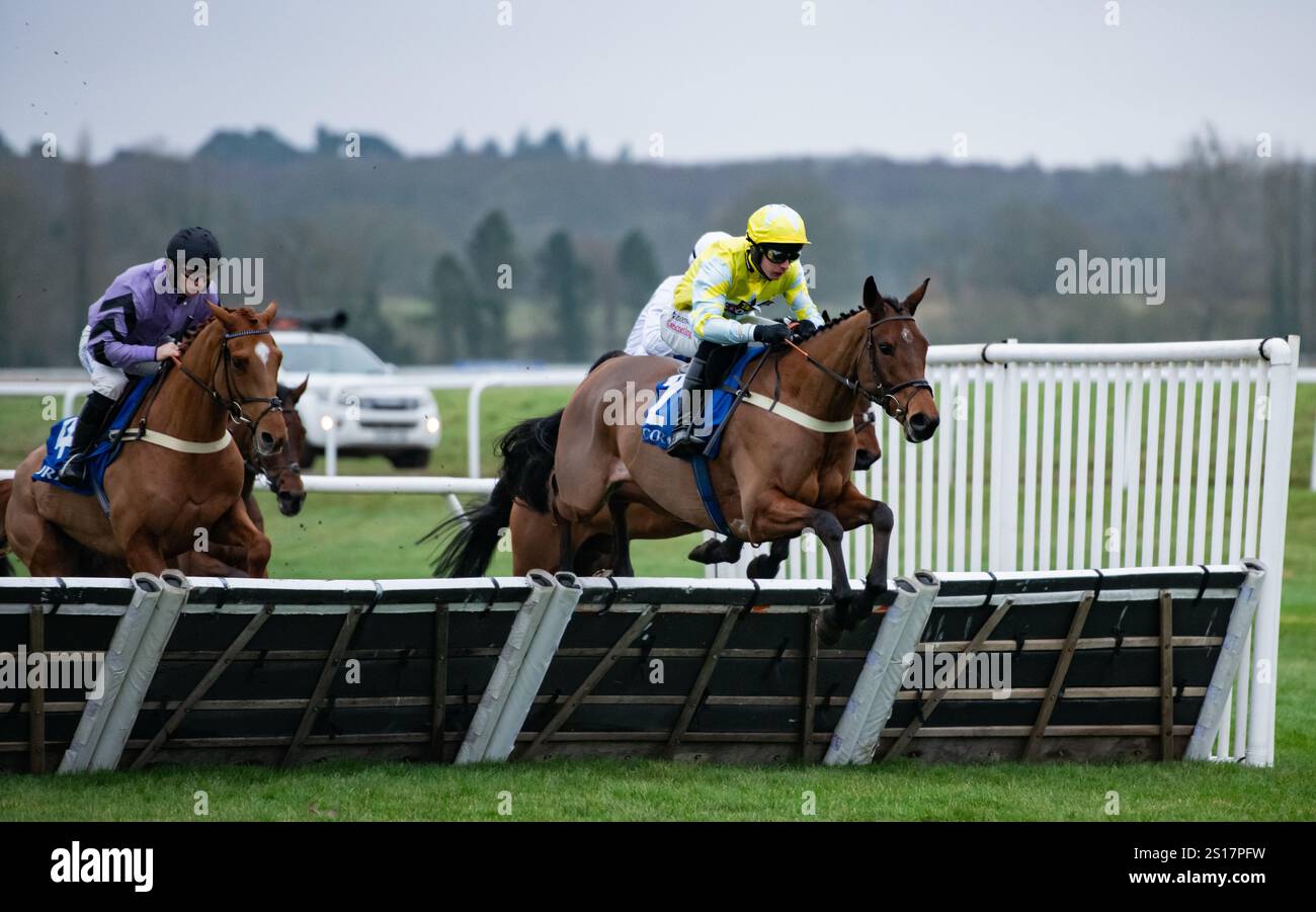 Electric mason horse hi-res stock photography and images - Alamy