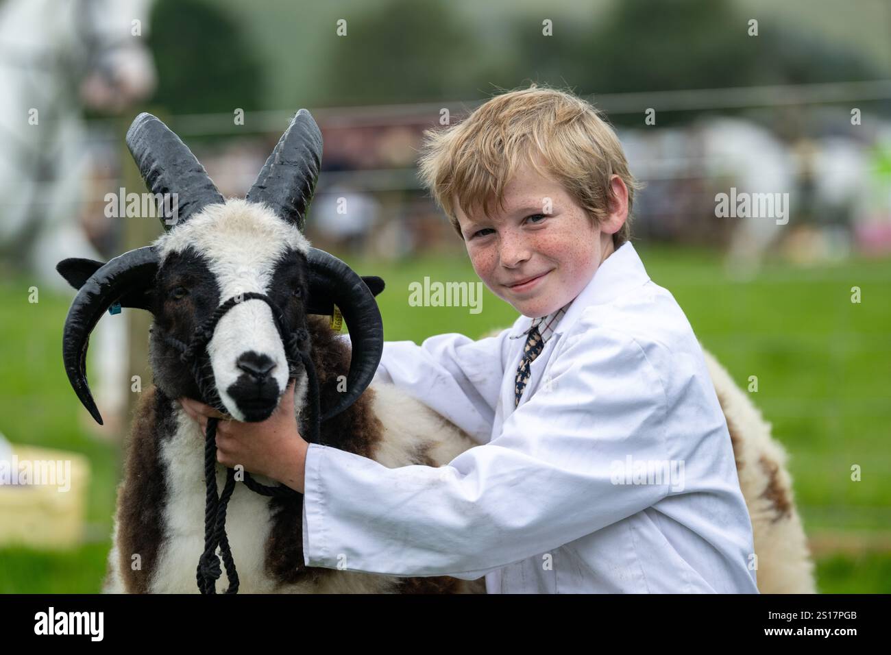 Children showing their sheep in the Young Handlers section at Hope Show ...