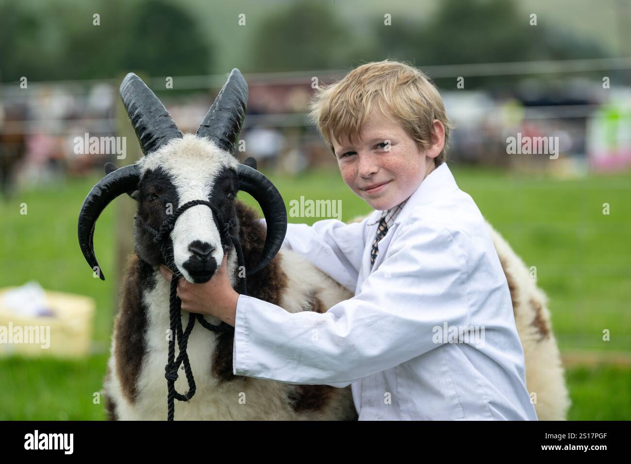 Children showing their sheep in the Young Handlers section at Hope Show ...