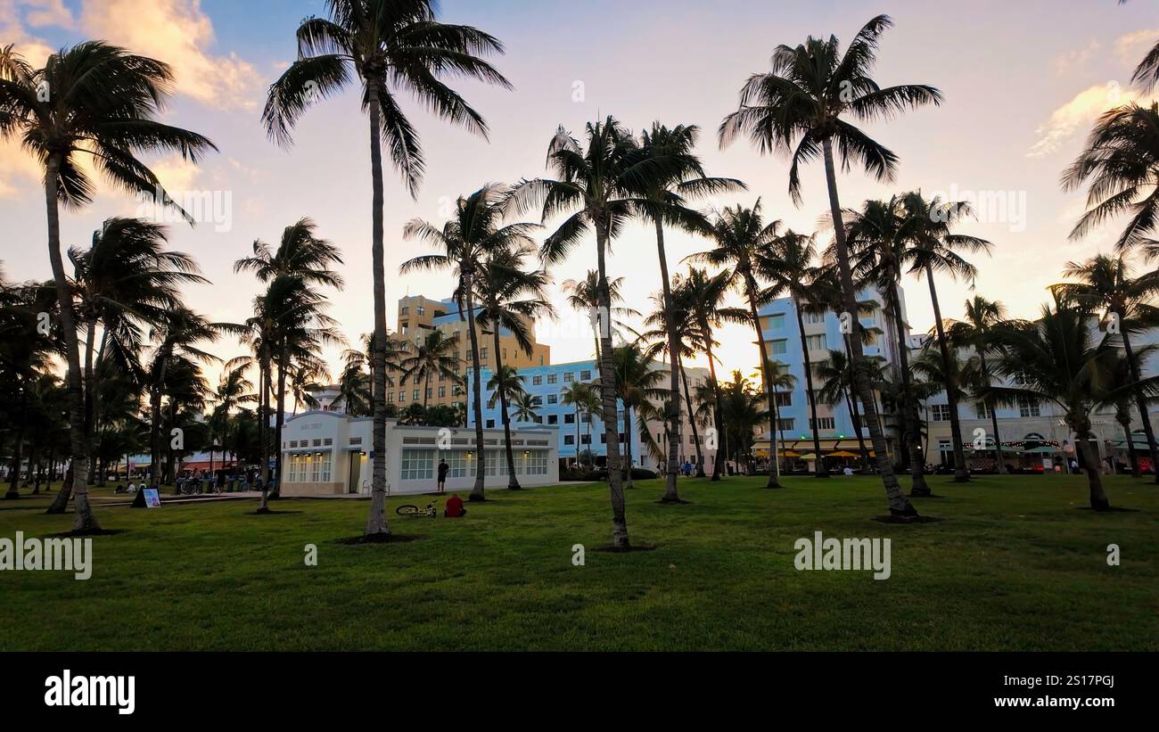 The Palm trees of Miami Beach South Beach - MIAMI, UNITED STATES ...