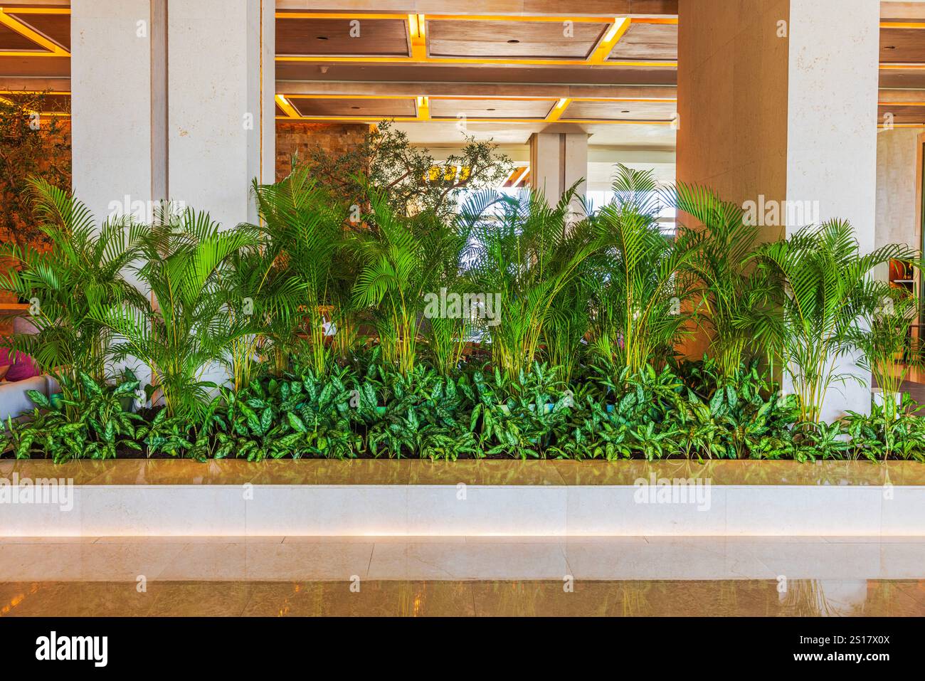 Elegant green plants with lush foliage arranged in decorative planter ...