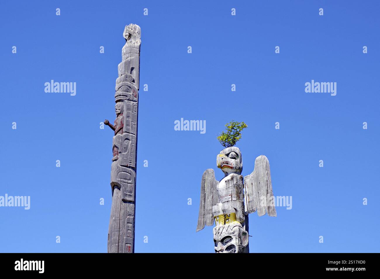 Two detailed totem poles with different symbols stand against blue sky ...