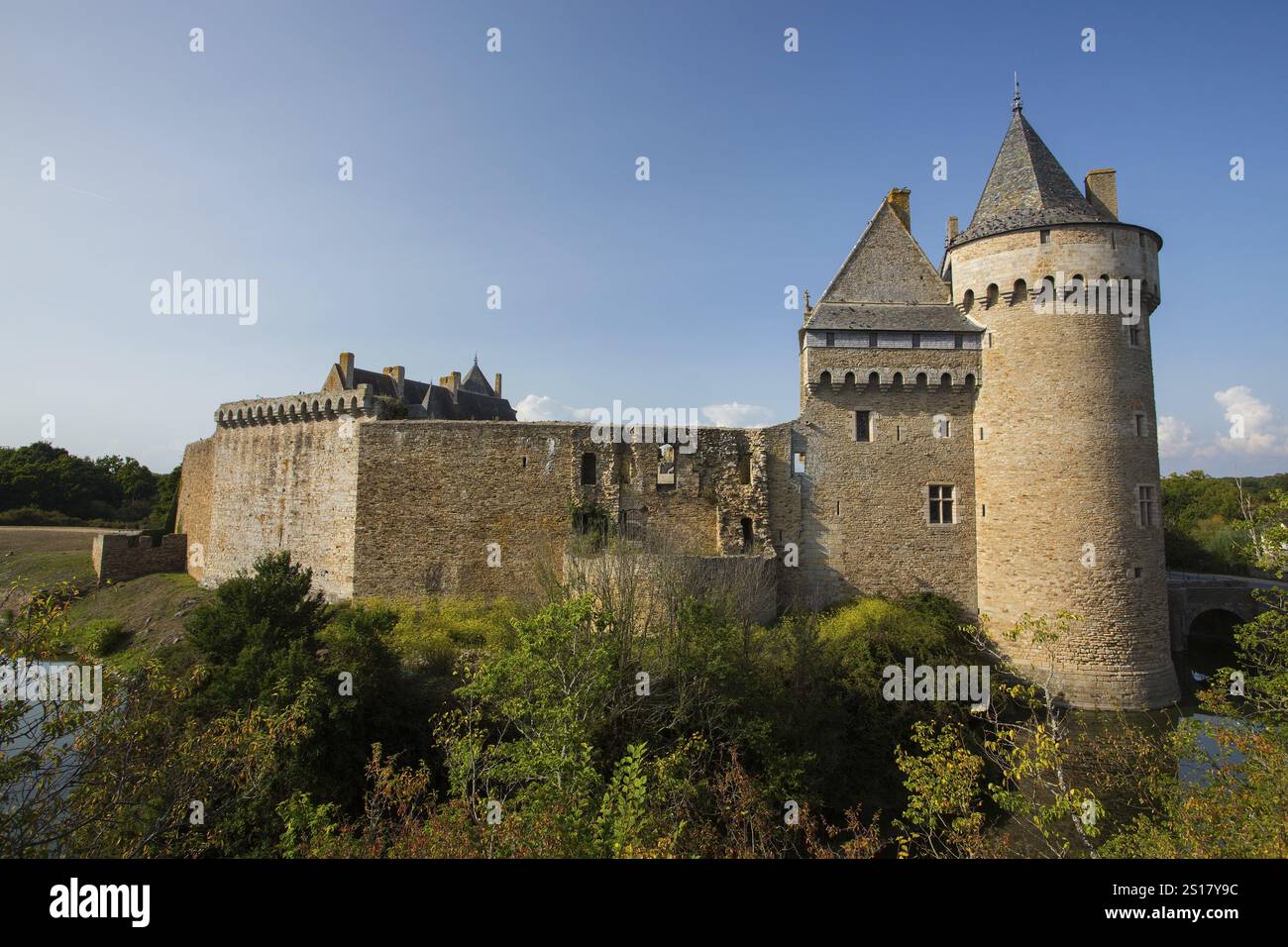 Suscinio Castle, moated castle, Brittany, France, Europe Stock Photo ...