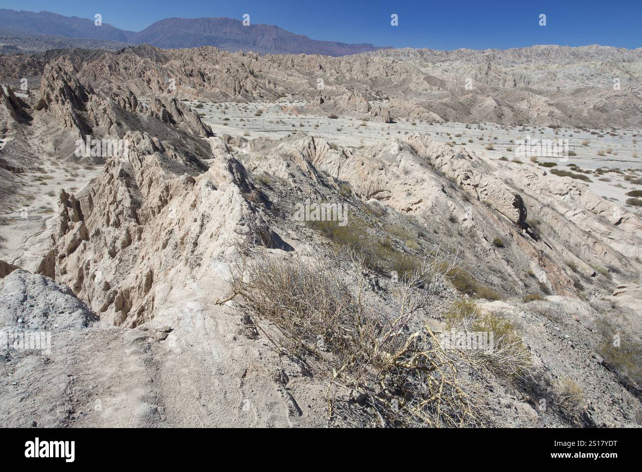 Landscape, Erosion landscape, Andes, Hills, Cafayate, Argentina, South ...