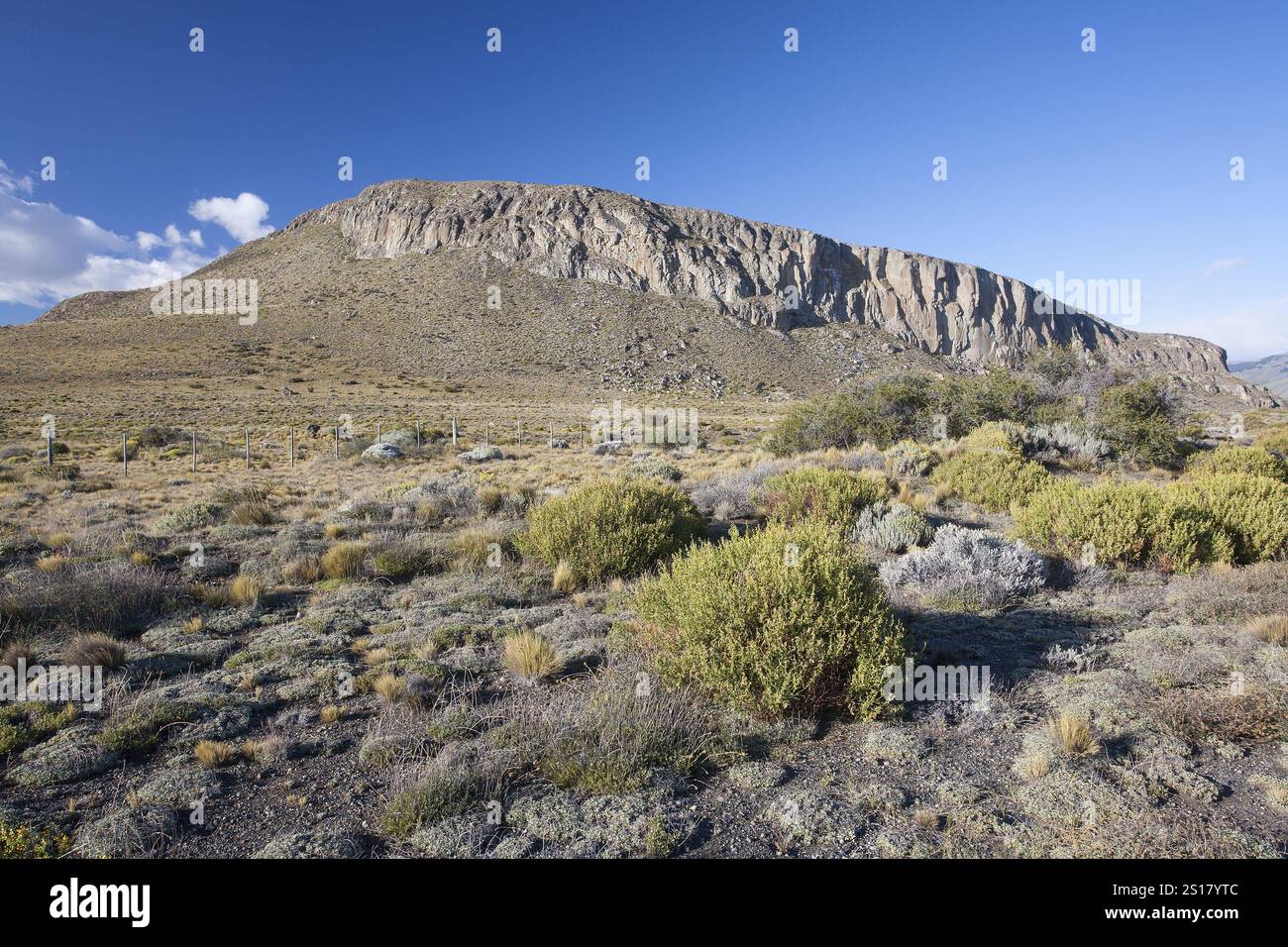 Steppe landscape, Patagonia, near El Calafate, Argentina, South America ...