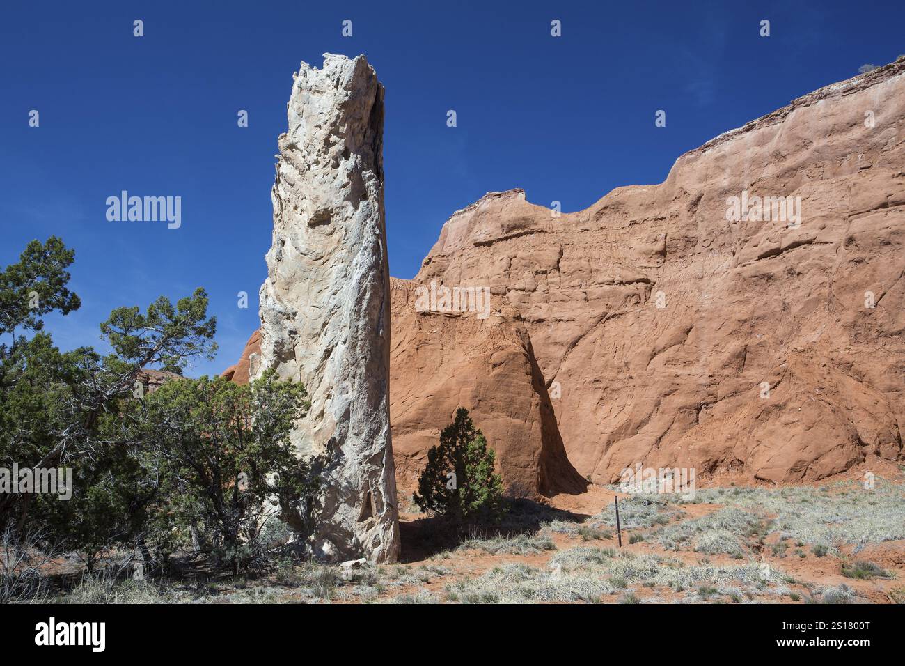 Kodachrome Basin State Park, Stone Column, Utah, USA, North America ...