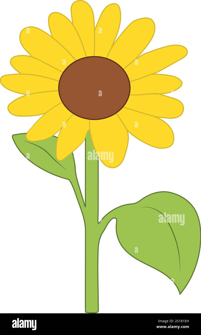 Yellow bloom beauty Stock Vector Images - Alamy
