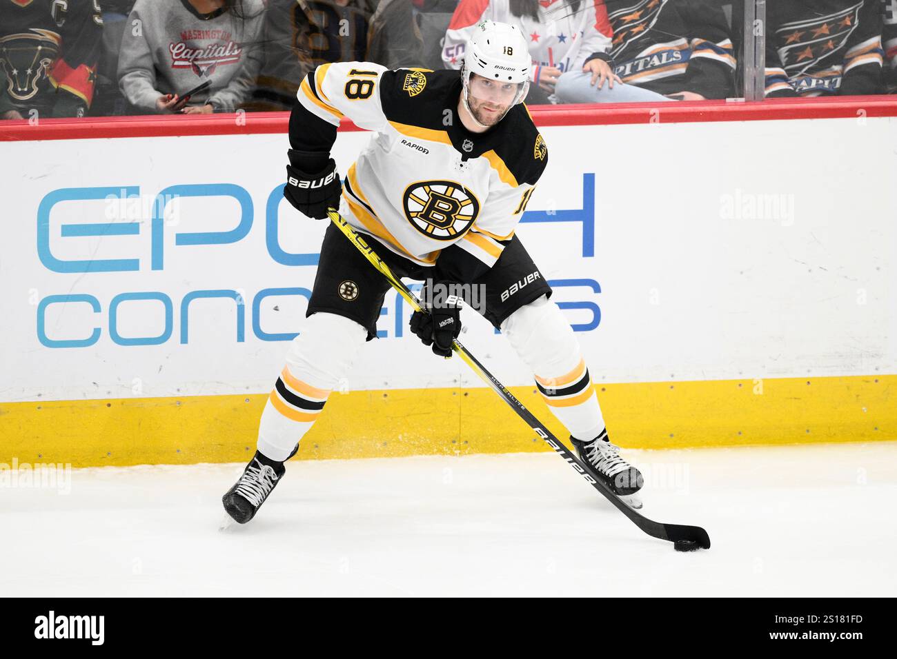 Boston Bruins center Pavel Zacha (18) in action during the third period ...