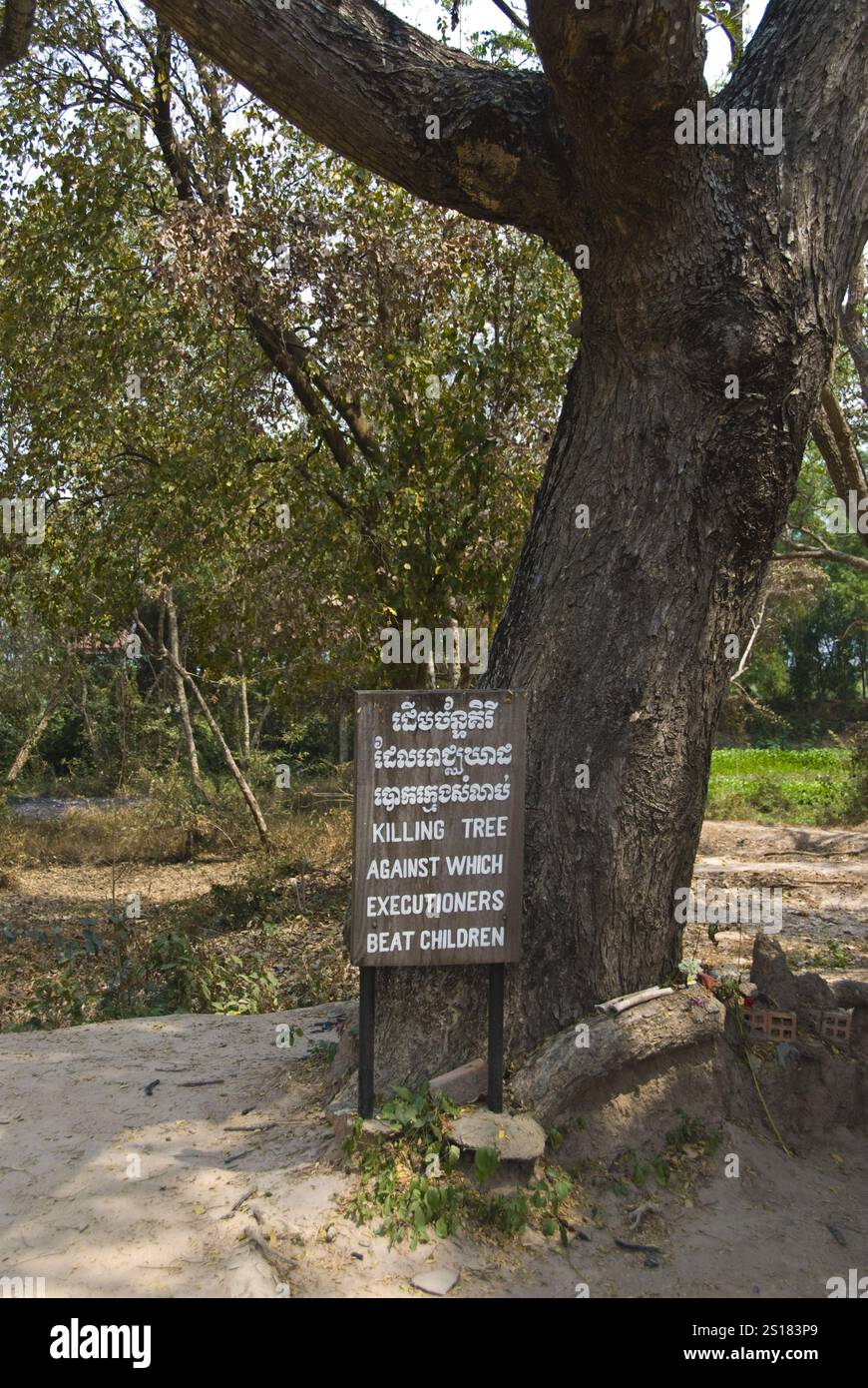 A tree where prisoners were beaten at the Choeung Ek genocide memorial ...
