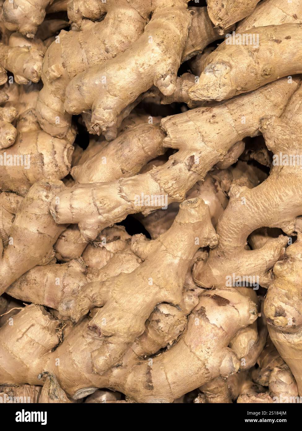 A close-up view reveals fresh ginger roots stacked in abundance at a ...