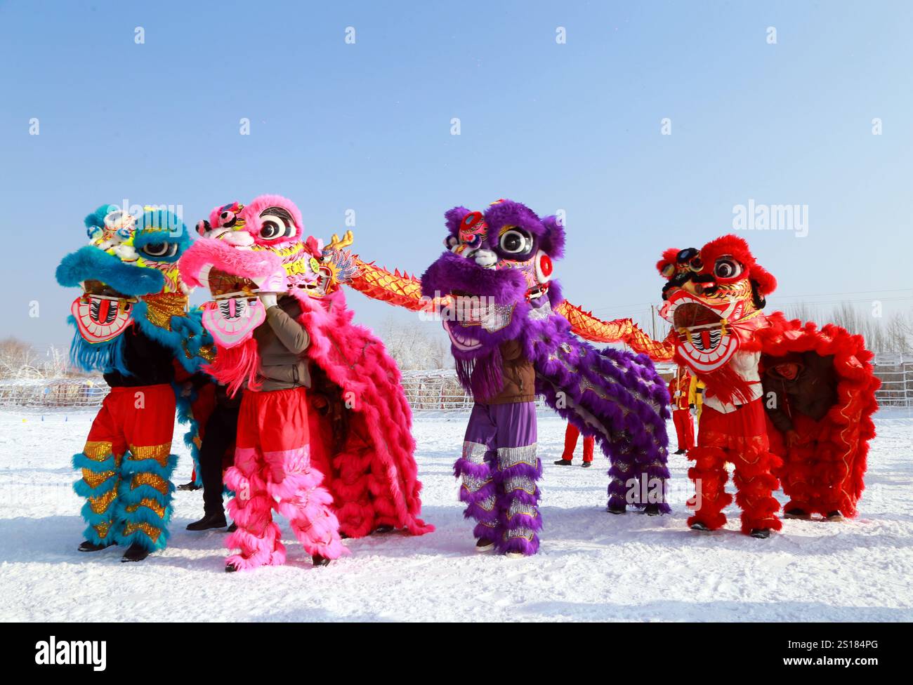 AKSU, CHINA - JANUARY 1, 2025 - Villagers perform a dragon and lion ...