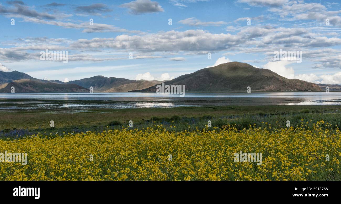 Beautiful tibetan landscape beetwen Samding Monastery on Yamdrok Lake ...
