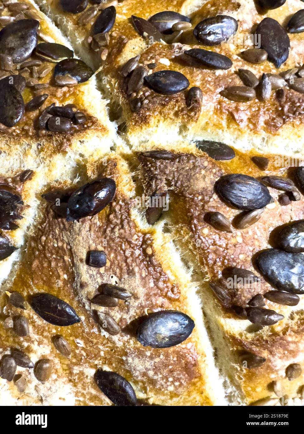 close-up of a white bread crust showing detailed texture and cracks ...