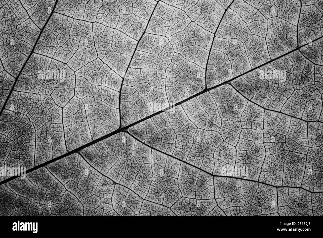 Background wallpaper image hd Black and White Stock Photos & Images - Alamy