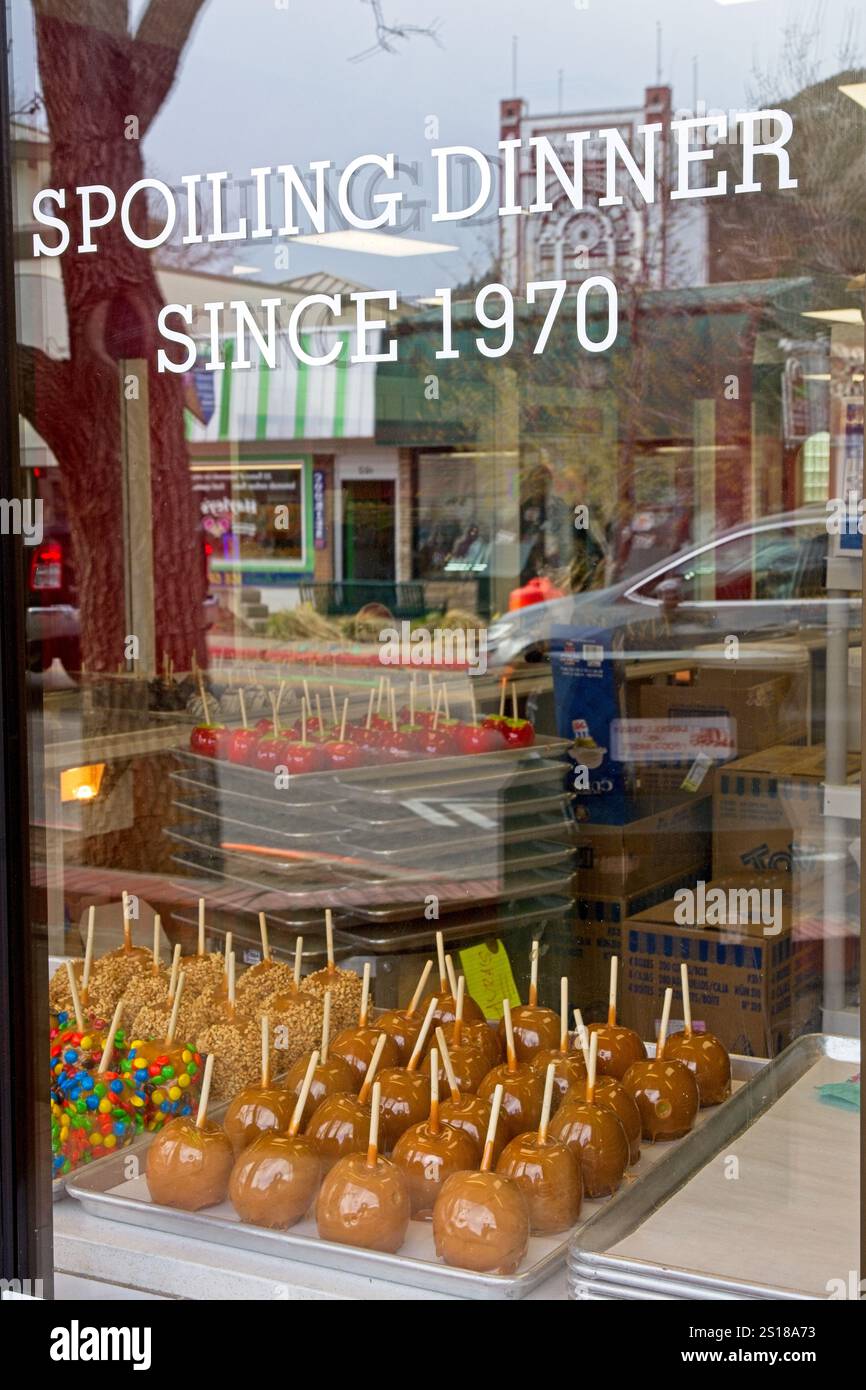 Trays of caramel apples on display in candy shop window view from ...