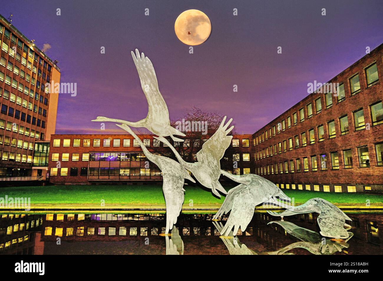 Swans in Flight by David Wynne, installed in the grounds of Newcastle ...