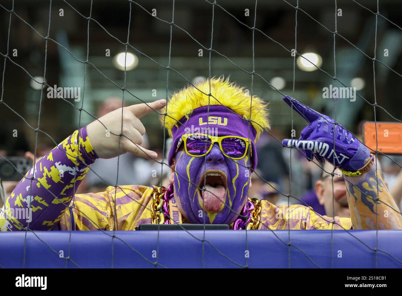 HOUSTON, TX - DECEMBER 31: An LSU fan has a painted face and LSU colors ...