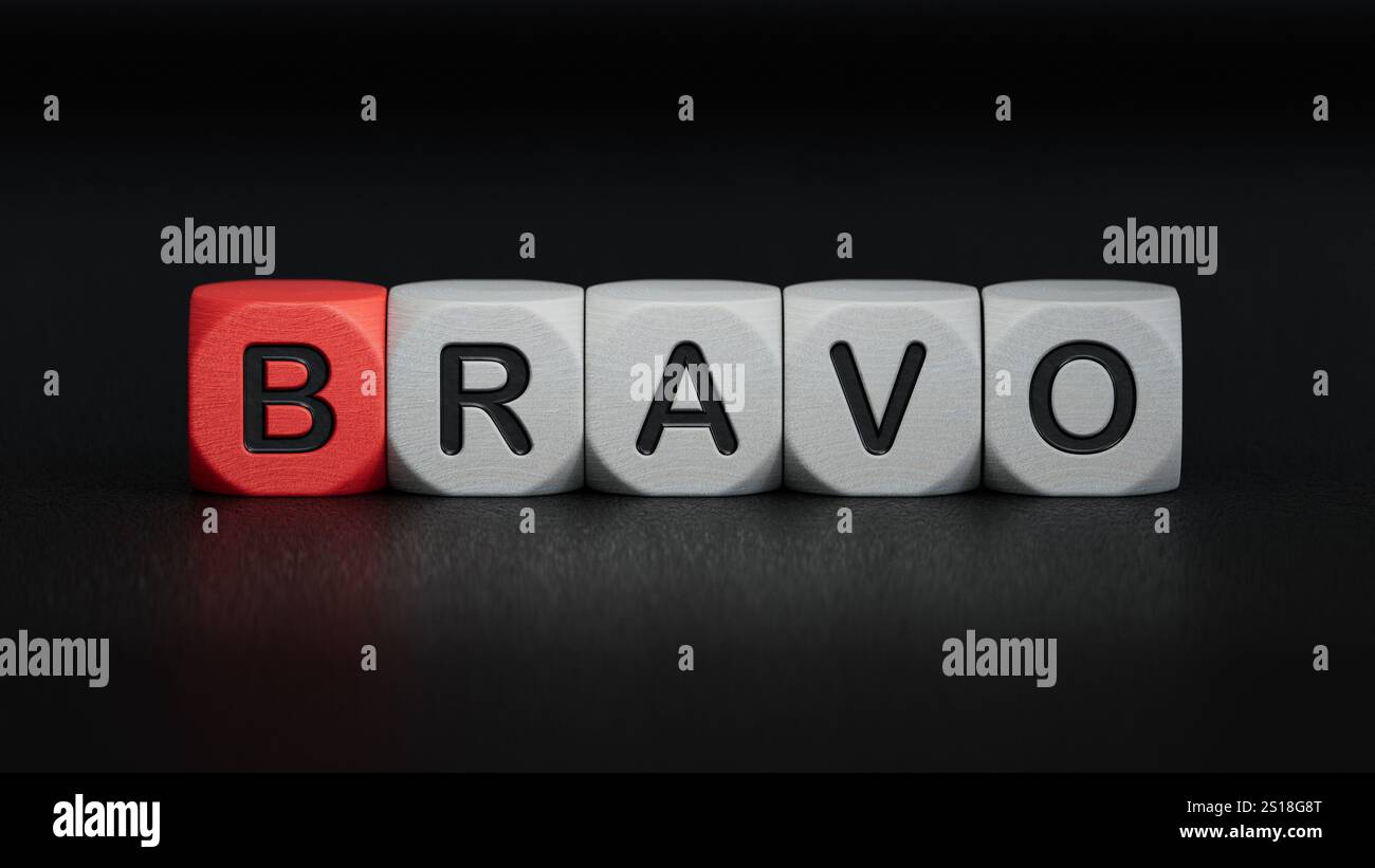 The word bravo appearing wooden cubes. Education concept.close up of ...
