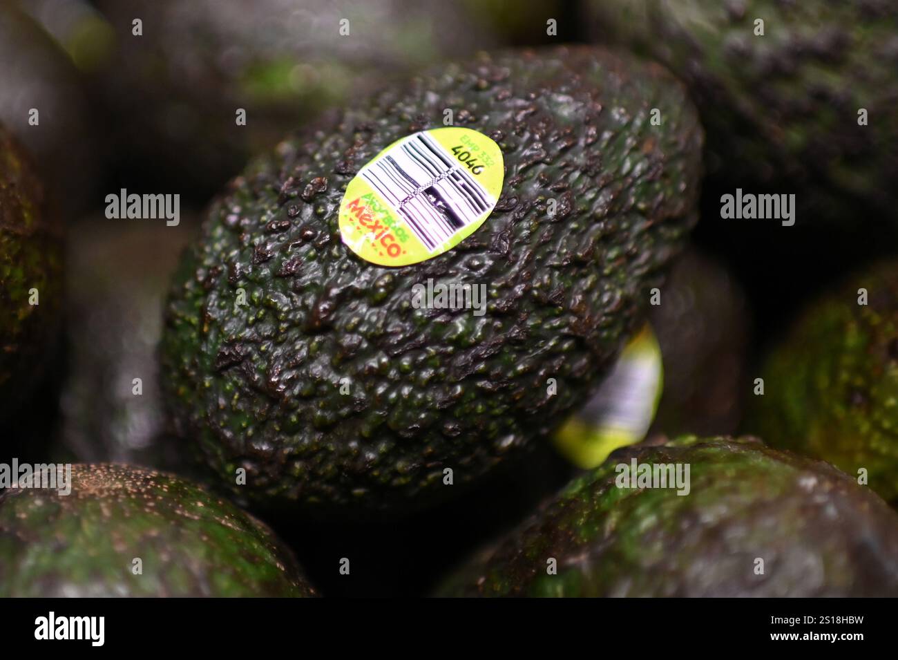 New York, USA. 31st Dec, 2024. View of an avocado imported from Mexico ...