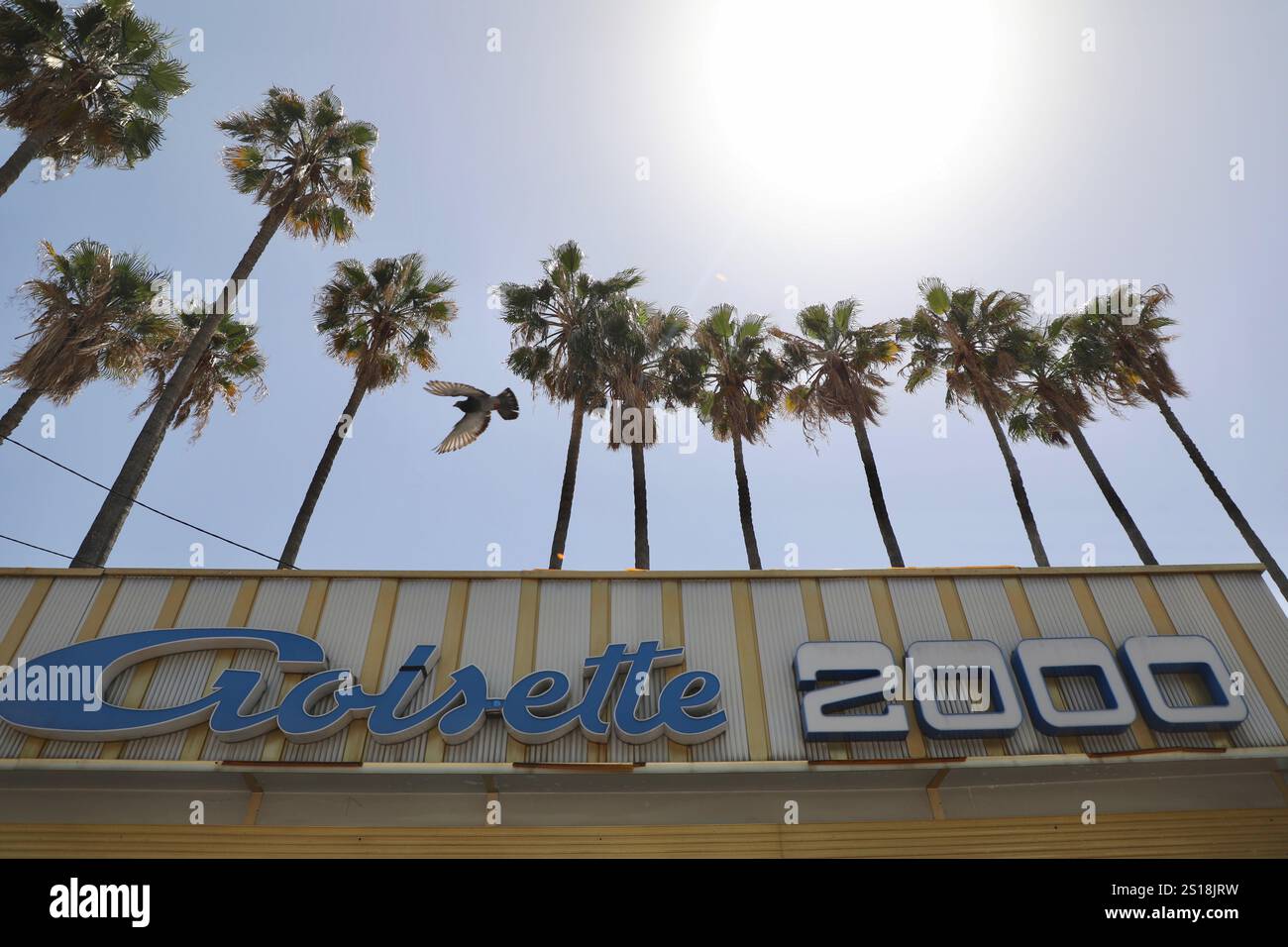 Palm trees and the front of the "Croisette 2000" carousel named after the famous Promenade de la ...