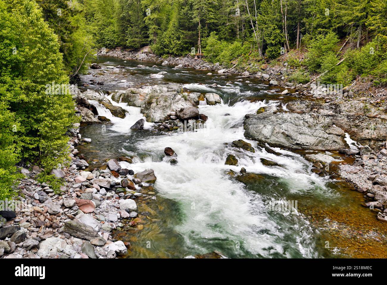 The Cheakamus River is a tributary of the Squamish River, beginning on ...