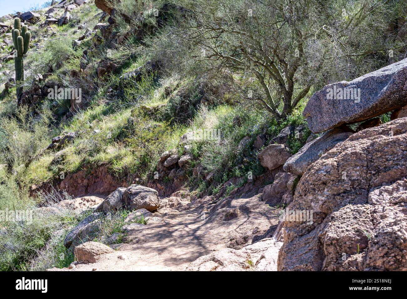 Cholla Trail trail down from Camelback Mountain in Phoenix, Arizona ...